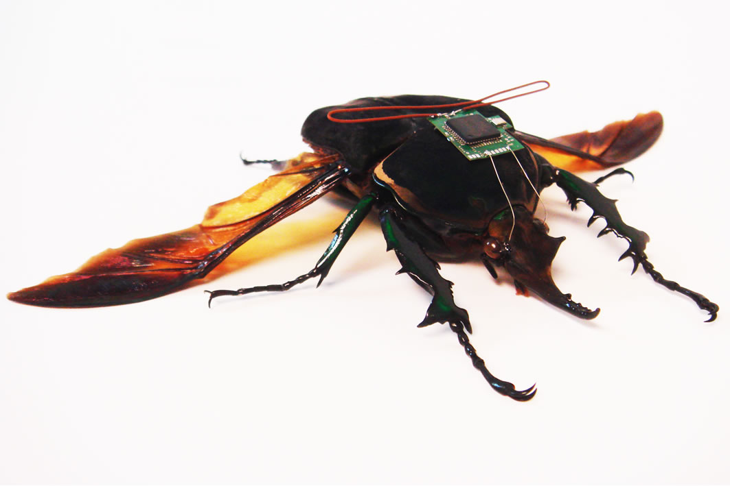 Robots in Ecology: Welcome to the machine