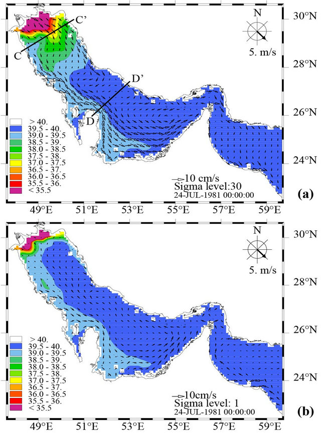 A Process Study of the Wind-Induced Circulation in the Persian Gulf