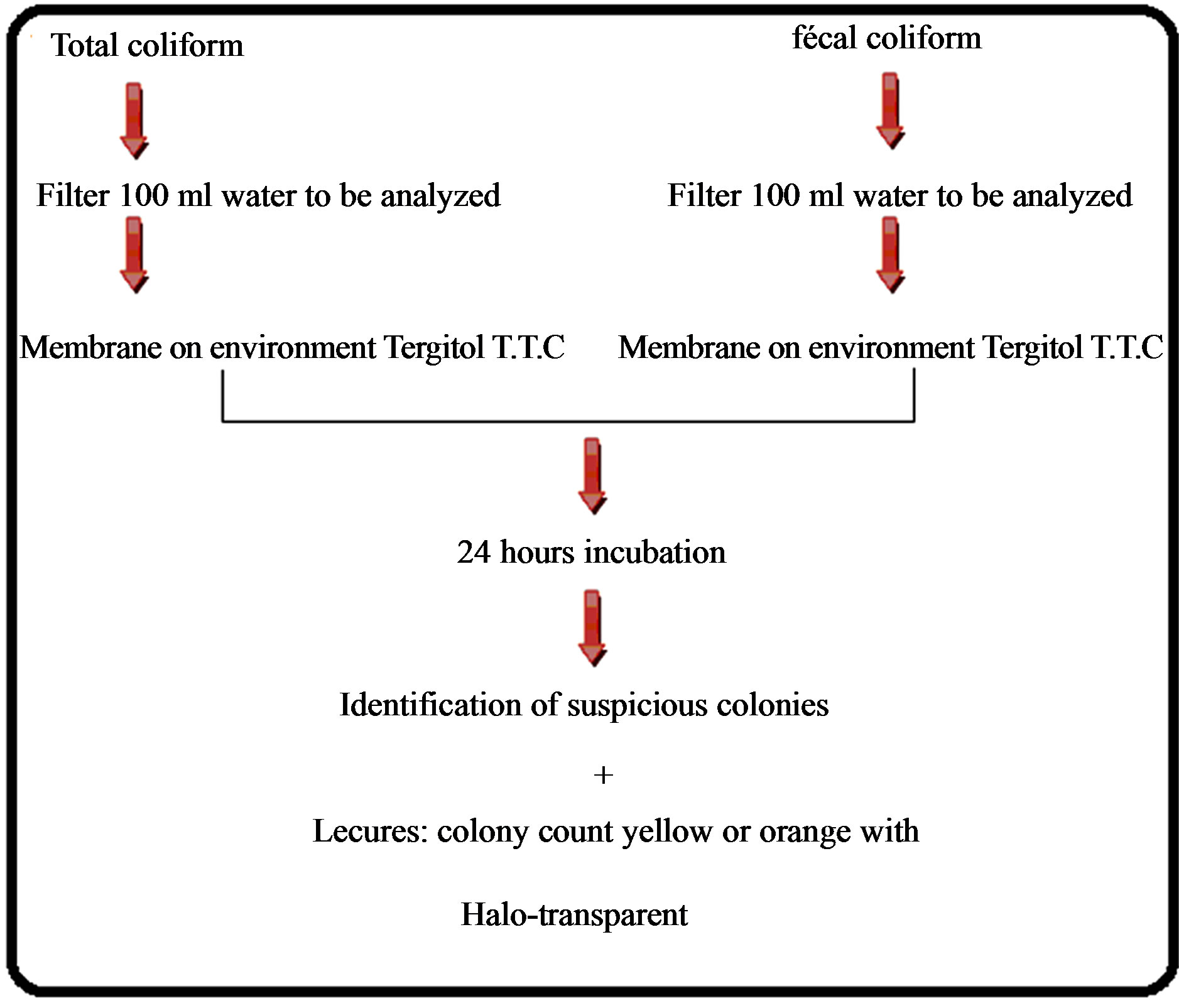 The Bacterial Load of Hospital Discharges (Sidi Kacem, Morocco)
