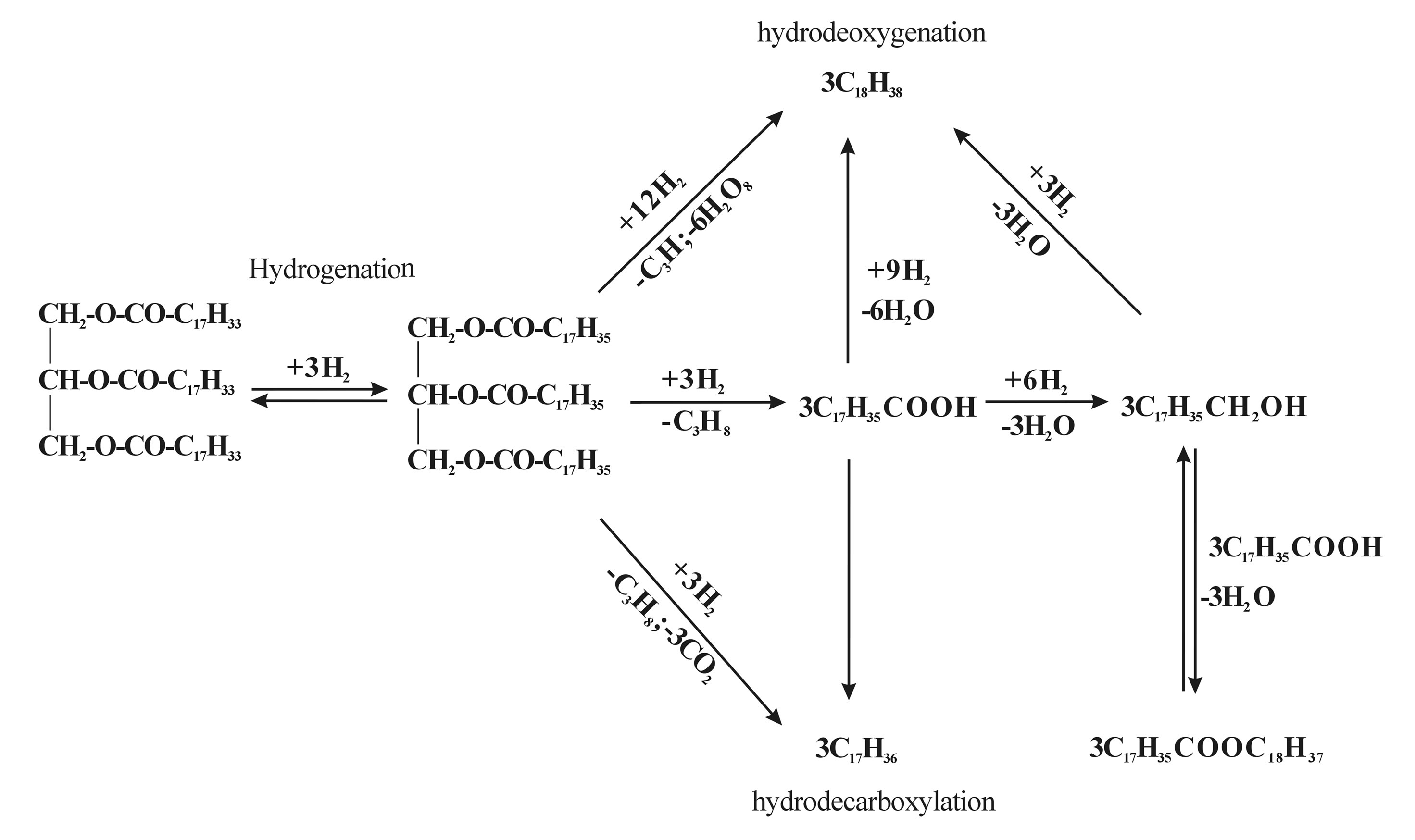 Green Oil Production by Hydroprocessing