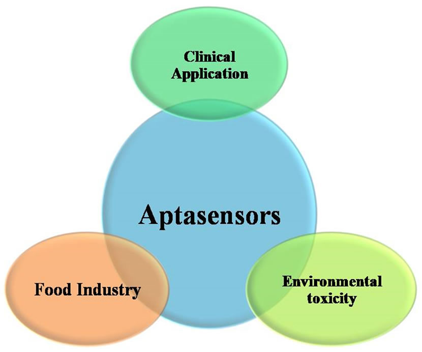Aptasensors in Health, Environment and Food Safety Monitoring