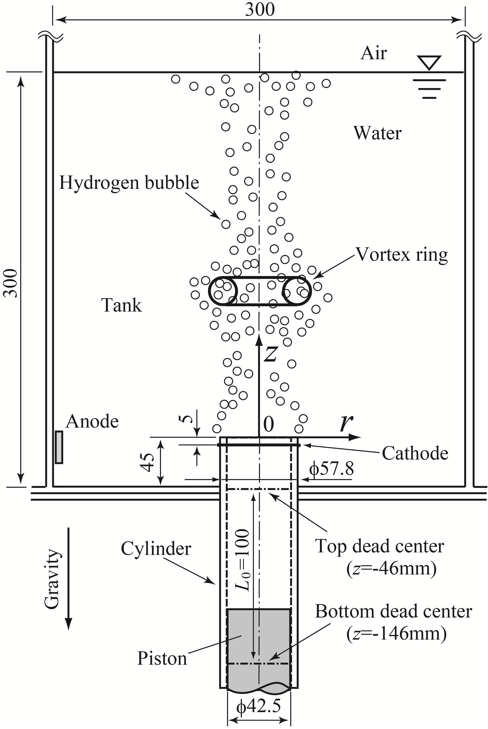 Interaction of Bubbles with Vortex Ring Launched into Bubble Plume