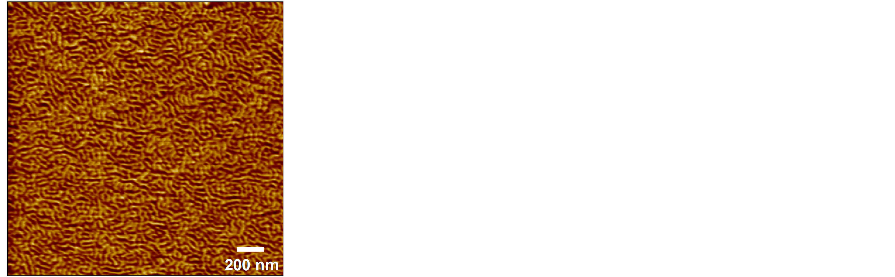 Control of Microdomain Orientation in Block Copolymer Thin Films by ...