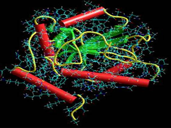 The Complementarity Effect for Cdc25 Phosphatase Inhibitors