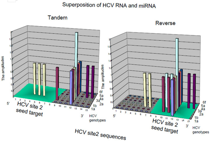 RNA Wave for the HIV Therapy: Foods, Stem Cells and the RNA Information ...