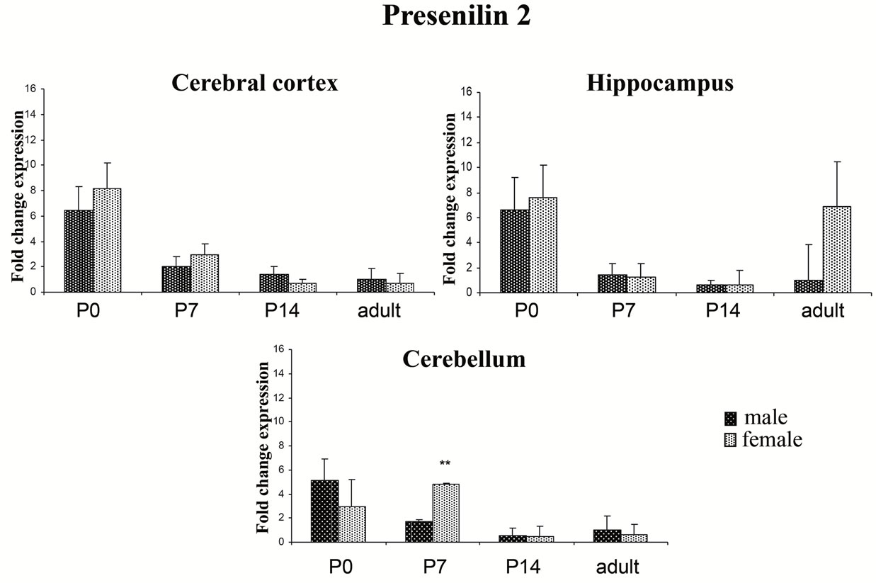 Sex Effect On Presenilins Expression In Post Natal Rat Brain