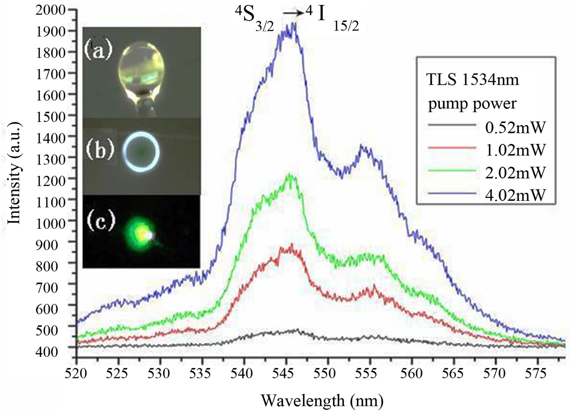 Triple and Double Photons Absorption Process and Down-Conversion Laser ...