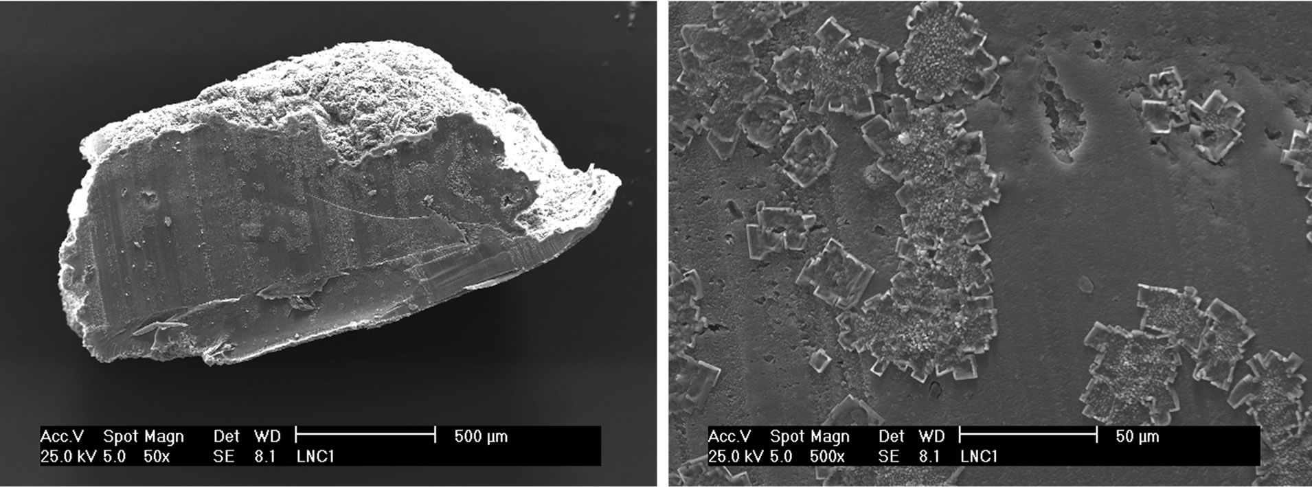Alginate Reinforced Chitosan and Starch Beads in Slow Release ...