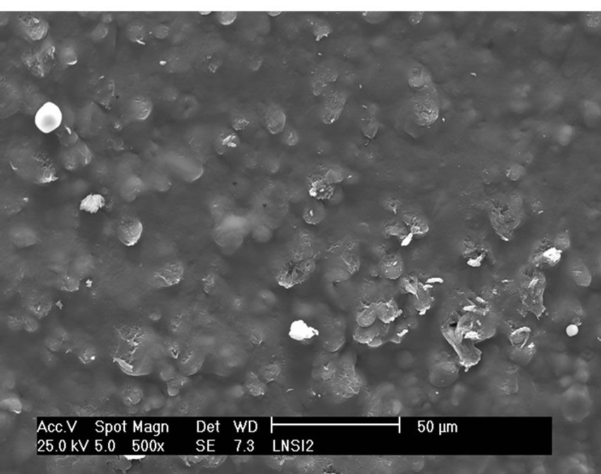 Alginate Reinforced Chitosan and Starch Beads in Slow Release ...