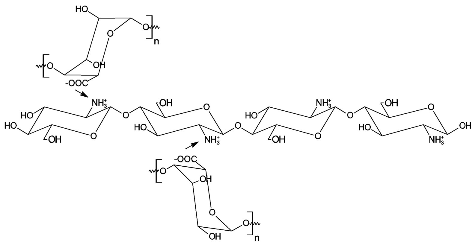 Alginate Reinforced Chitosan and Starch Beads in Slow Release ...