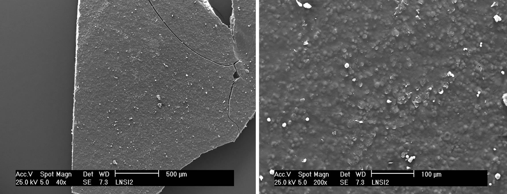 Alginate Reinforced Chitosan and Starch Beads in Slow Release ...