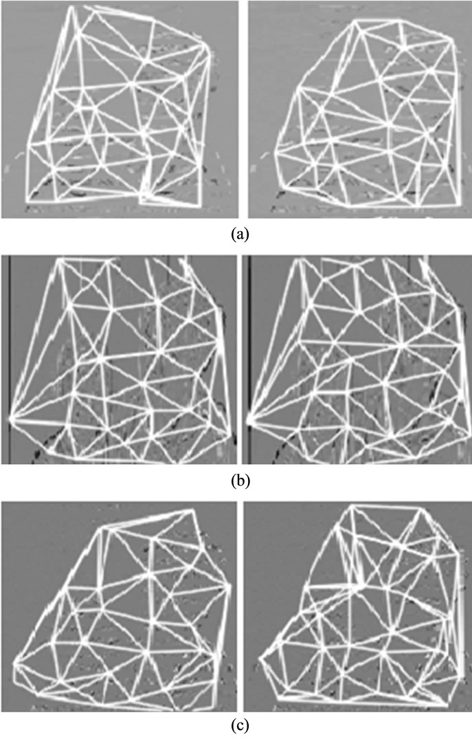 Video Compression USING a New Active Mesh Based Motion Compensation Algorithm in Wavelet Sub-Bands