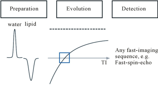 STIR, SPIR and SPAIR techniques in magnetic resonance of the breast: A ...