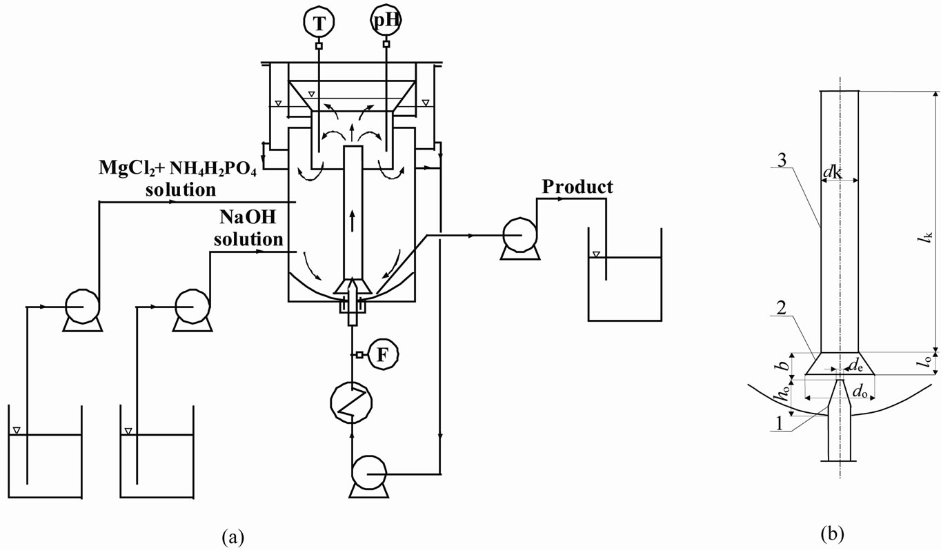 Continuous Reaction Crystallization of Struvite in a DTM Type ...