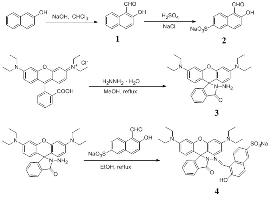 A fluorescence turn-on Hg 2+ probe based on rhodamine with excellent ...