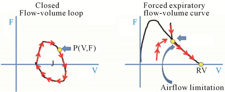 A new geometrical and mechanical relation in the respiratory system ...