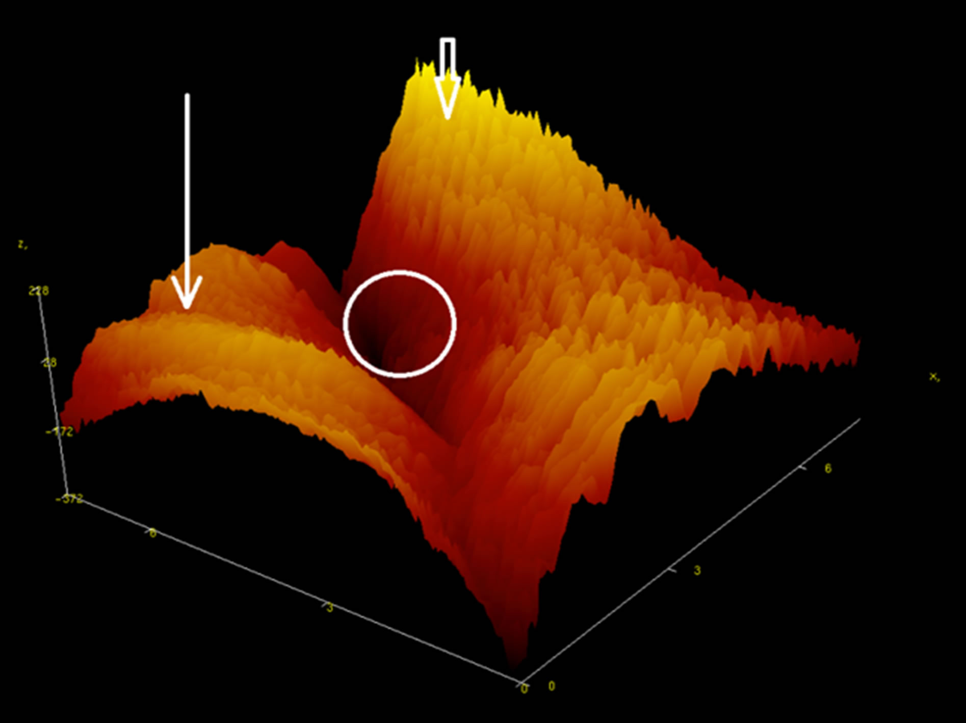 The Surface Fractal Structure of Fish Scales