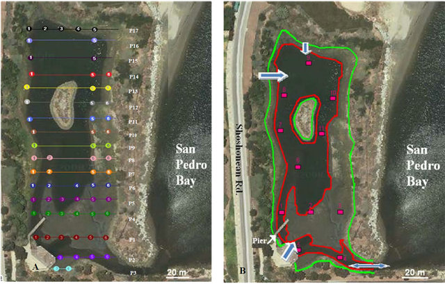 The Geochemistry of Heavy Metals in the Mudflat of Salinas de San Pedro ...