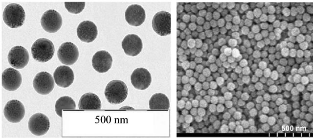 Nanoparticles Transport in Ceramic Matriсes: A Novel Approach for ...