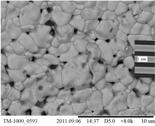 Nanoparticles Transport in Ceramic Matriсes: A Novel Approach for ...
