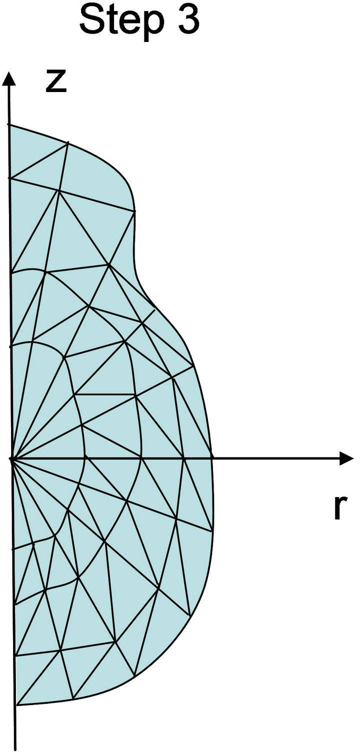 Mathematical Modeling of Hydrogels Swelling Based on the Finite Element Method
