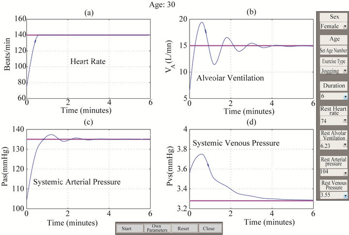 CARDIOGUI: An Interface Guide to Simulate Cardiovascular Respiratory ...
