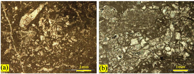 Microfacies and Sedimentary Environments of the Fahliyan Formation from ...