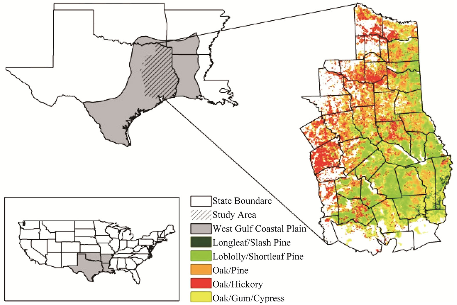 Factors associated with the spread of Chinese Tallow in East Texas ...