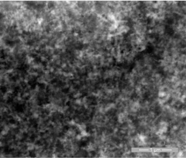 Laser Synthesis of Metal Oxide Crystals with the Use of Carbon Nanotubes