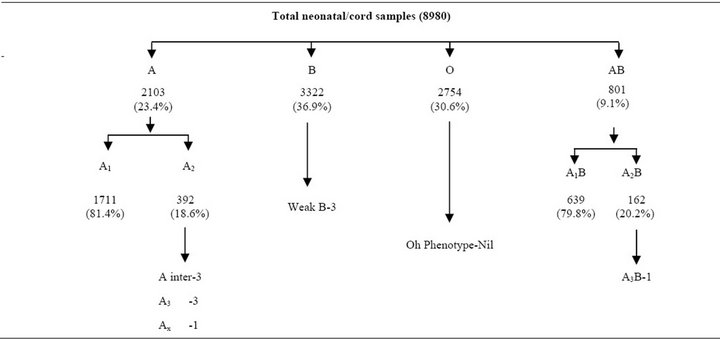 Prevalence and Distribution of ABO and Rh-D Antigens along with Its ...