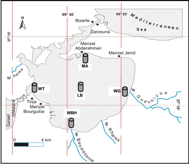 Episodic Sedimentation of Heavy Metals and Iron in Bizerte Lagoon ...