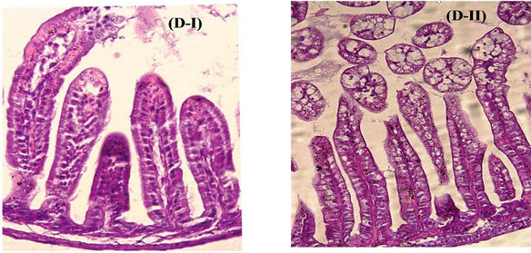 Evaluation of Hyperimmune Hen Egg Yolk Derived Anti-Human Rotavirus ...