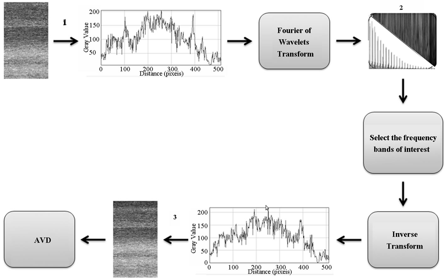 Comparison Between Fourier And Wavelets Transforms In Biospeckle Signals