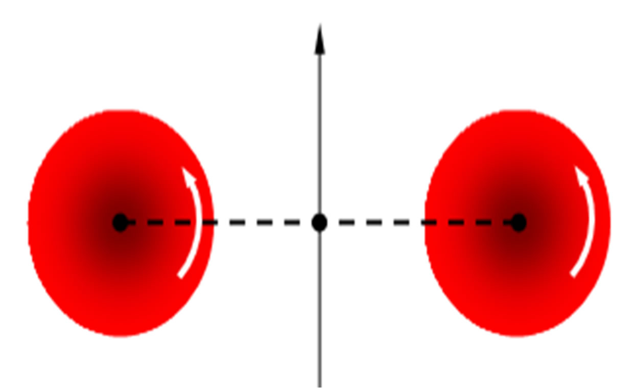 The Spin-Spin Interaction and the New Concept of Photon