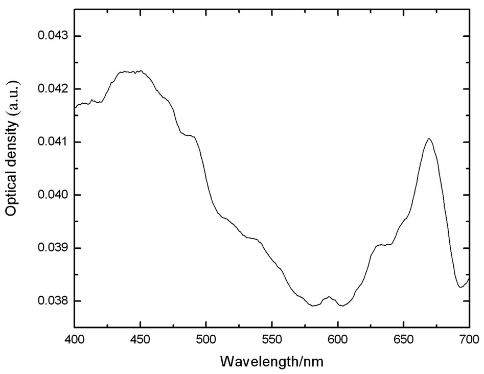 Study on the Effect of Monochromatic Light on the Growth of the Red ...