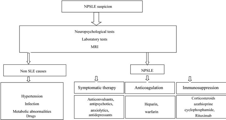 Neuropsychiatric Systemic Lupus Erythematosus