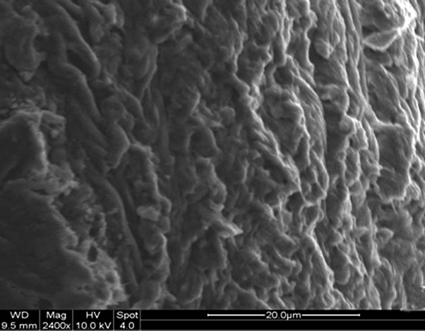 Preparation and Characterisation of Collagen from Freshwater Fish Scales