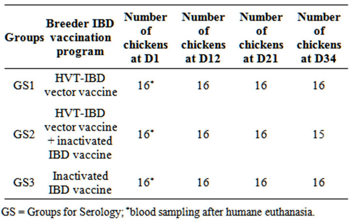 Evaluation of the Protection against Infectious Bursal Disease (IBD ...