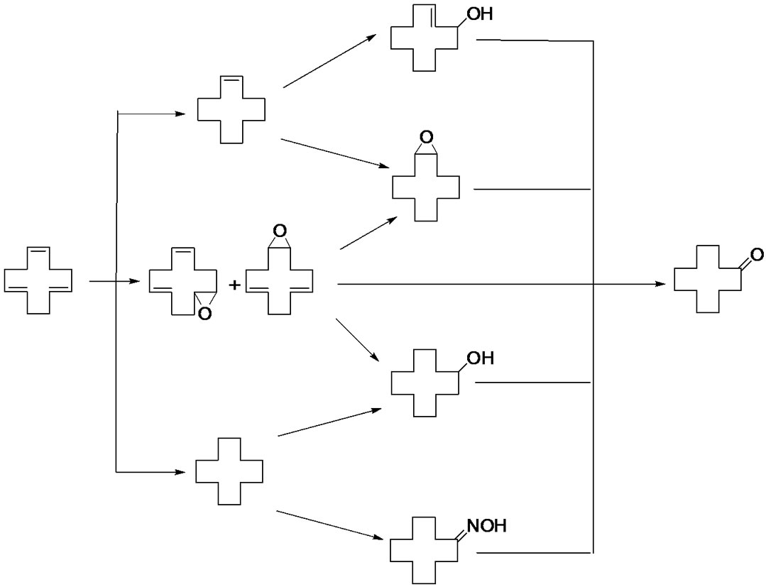 Eco-friendly Synthesis of Cyclododecanone from Cyclododecatriene