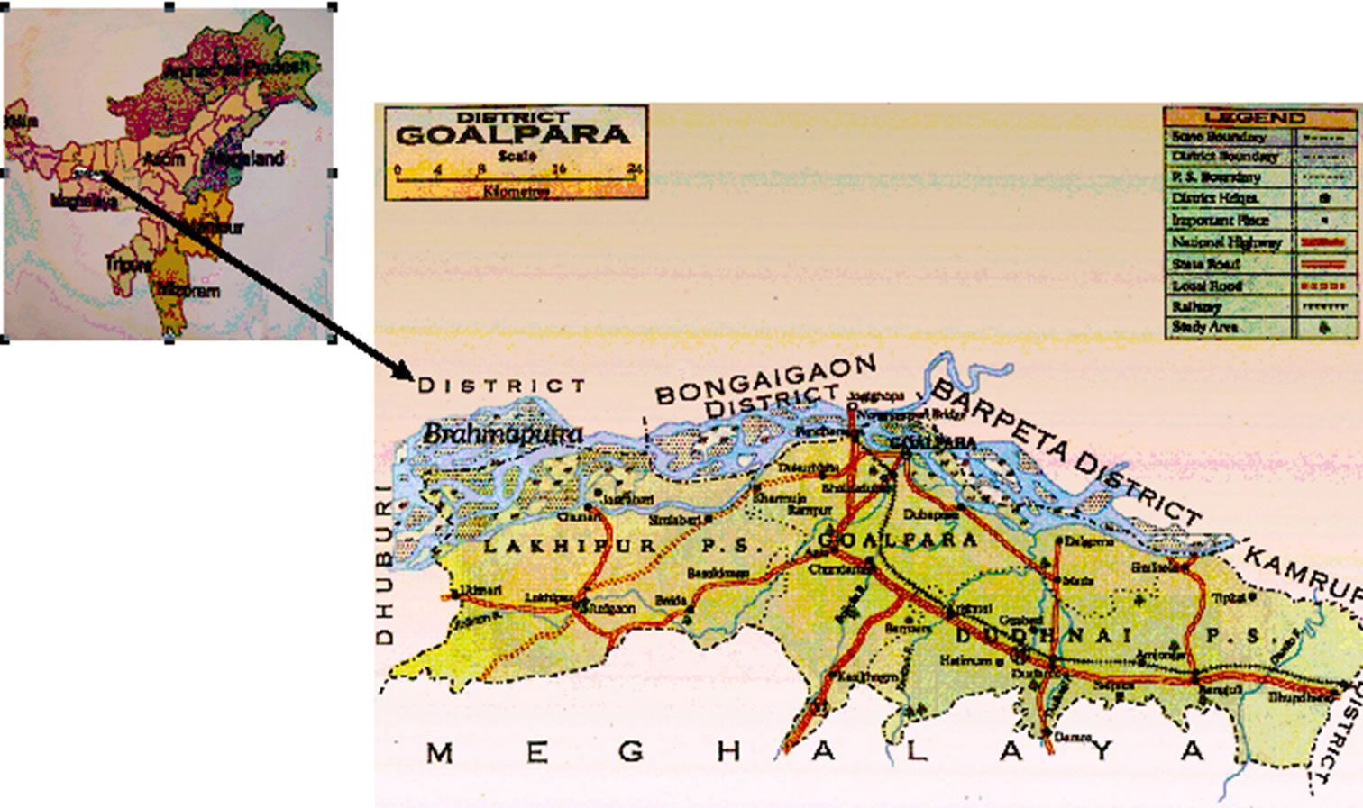 Genetic diversity of Persea bombycina from goalpara district of Assam ...