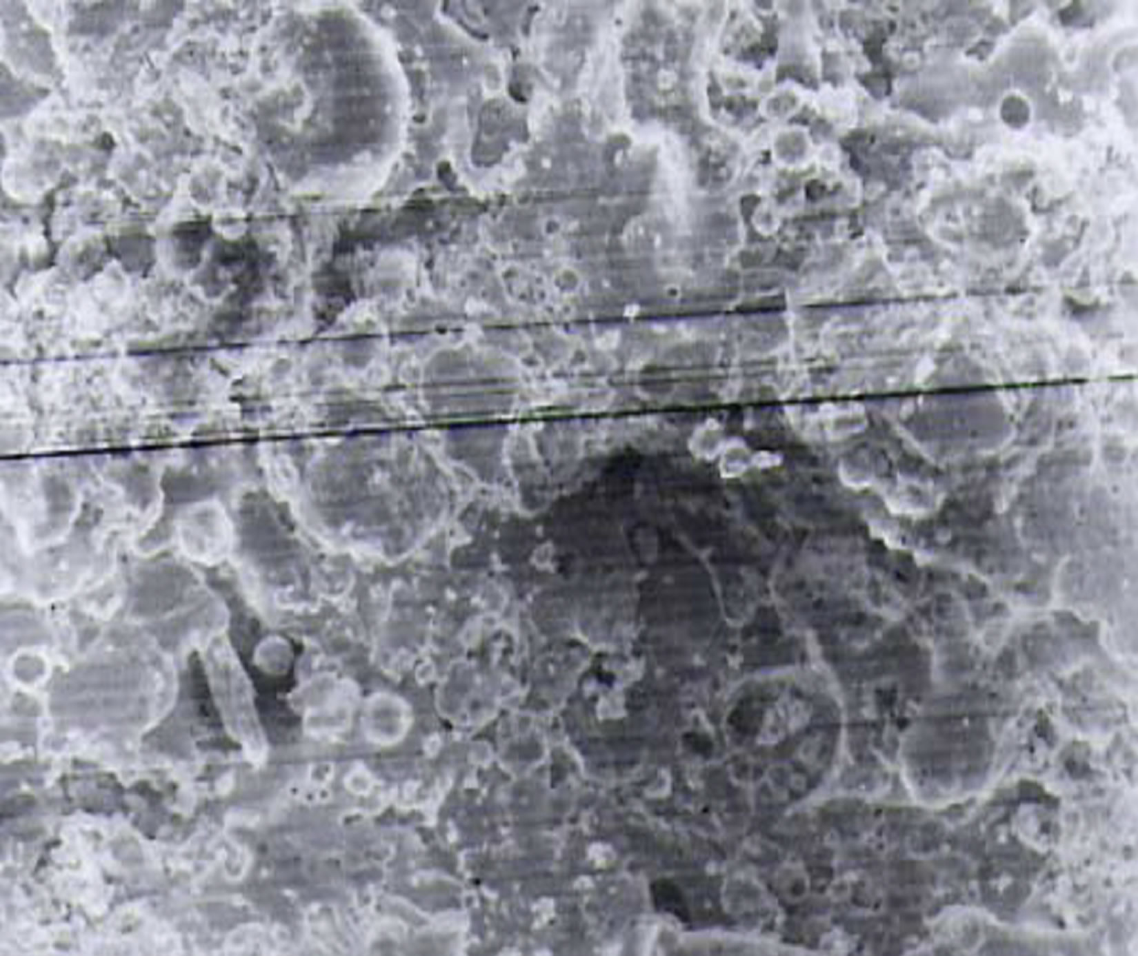 Morphology and solid particle erosion wear behavior of red mud ...