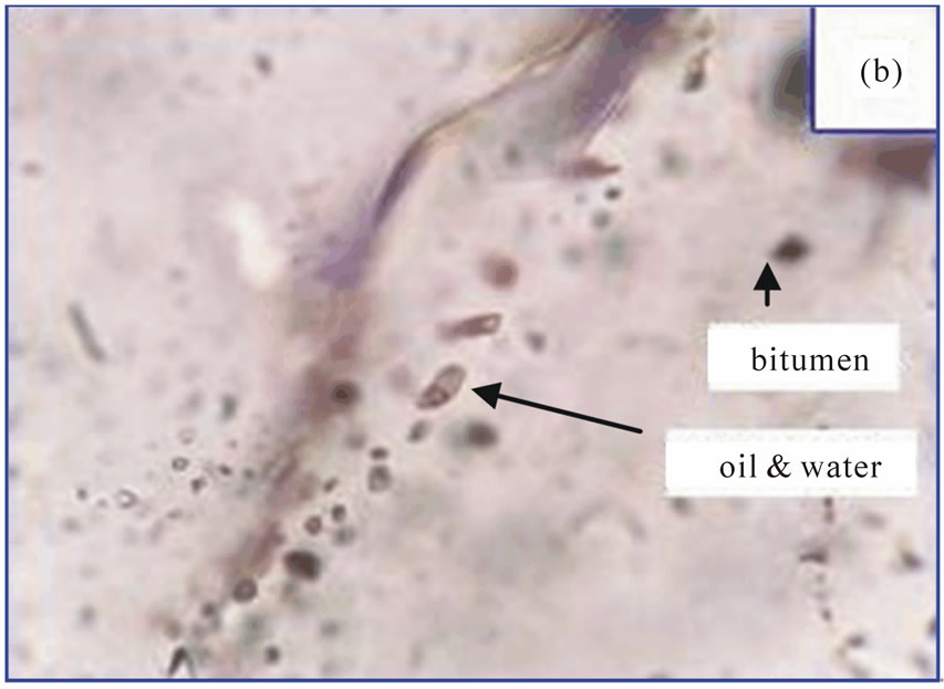 Fluid Inclusions Usage for Assessing Oil Migration in Duhok, North Iraq