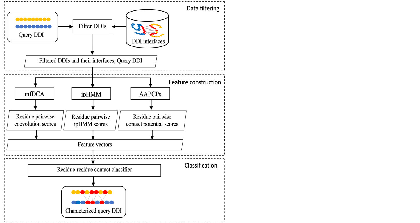 Predicting residue contacts for protein-protein interactions by integration of multiple information