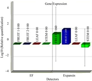 Molecular cloning and characterization of fruit specific promoter from ...