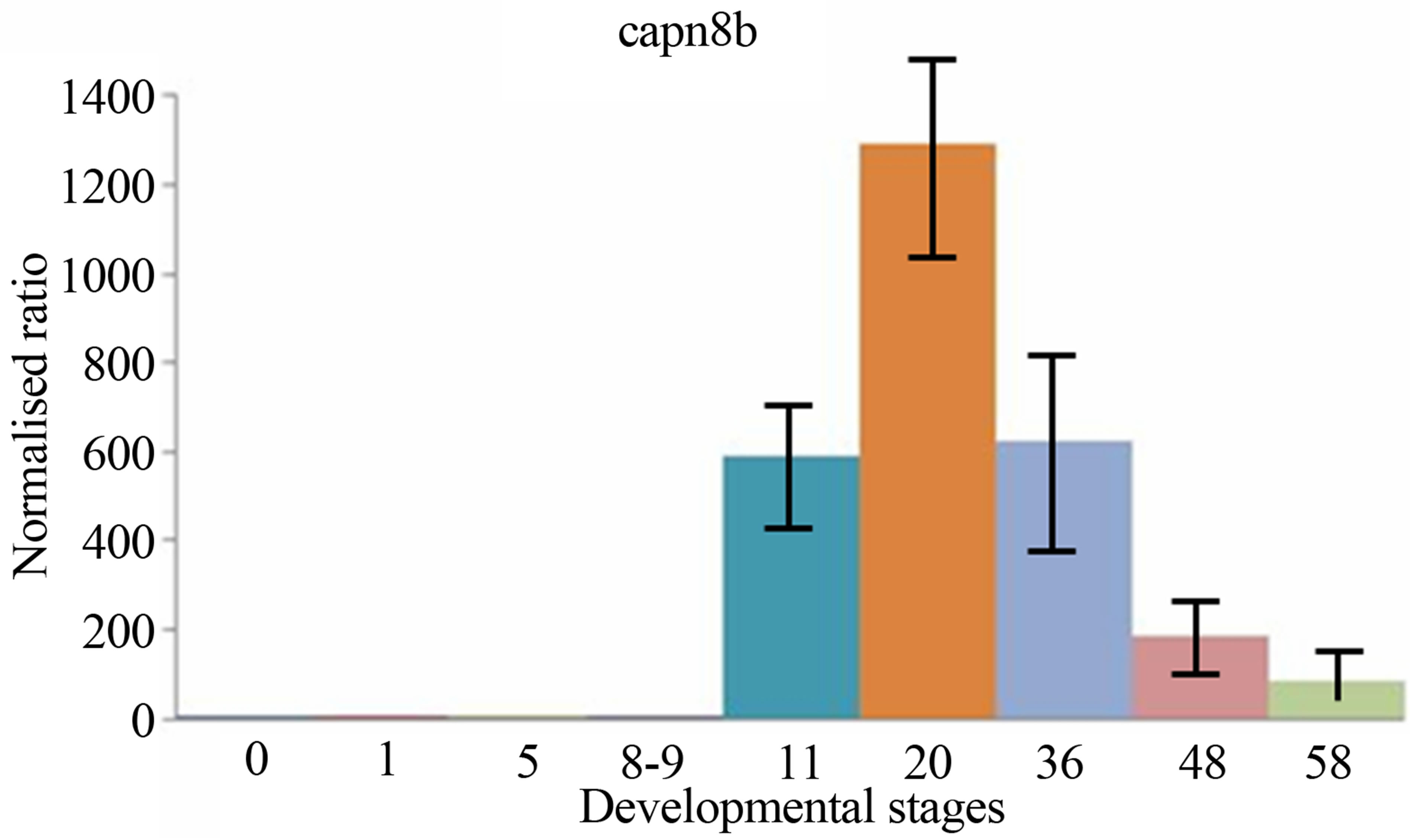 Expression Patterns of CAPN1 and CAPN8b Genes during Embryogenesis in ...