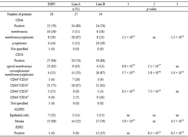 Inverted Apical CD24 and Weak EZH2 Expressions Are Phenotypic ...