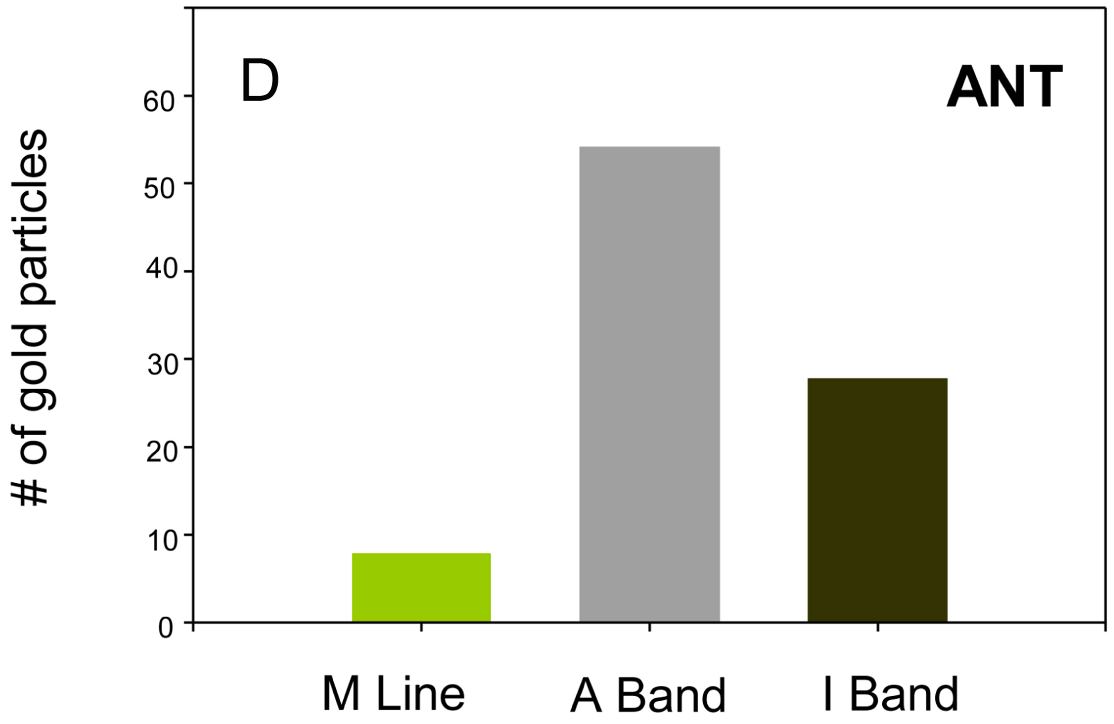 Characterization of the Intracellular Distribution of Adenine ...
