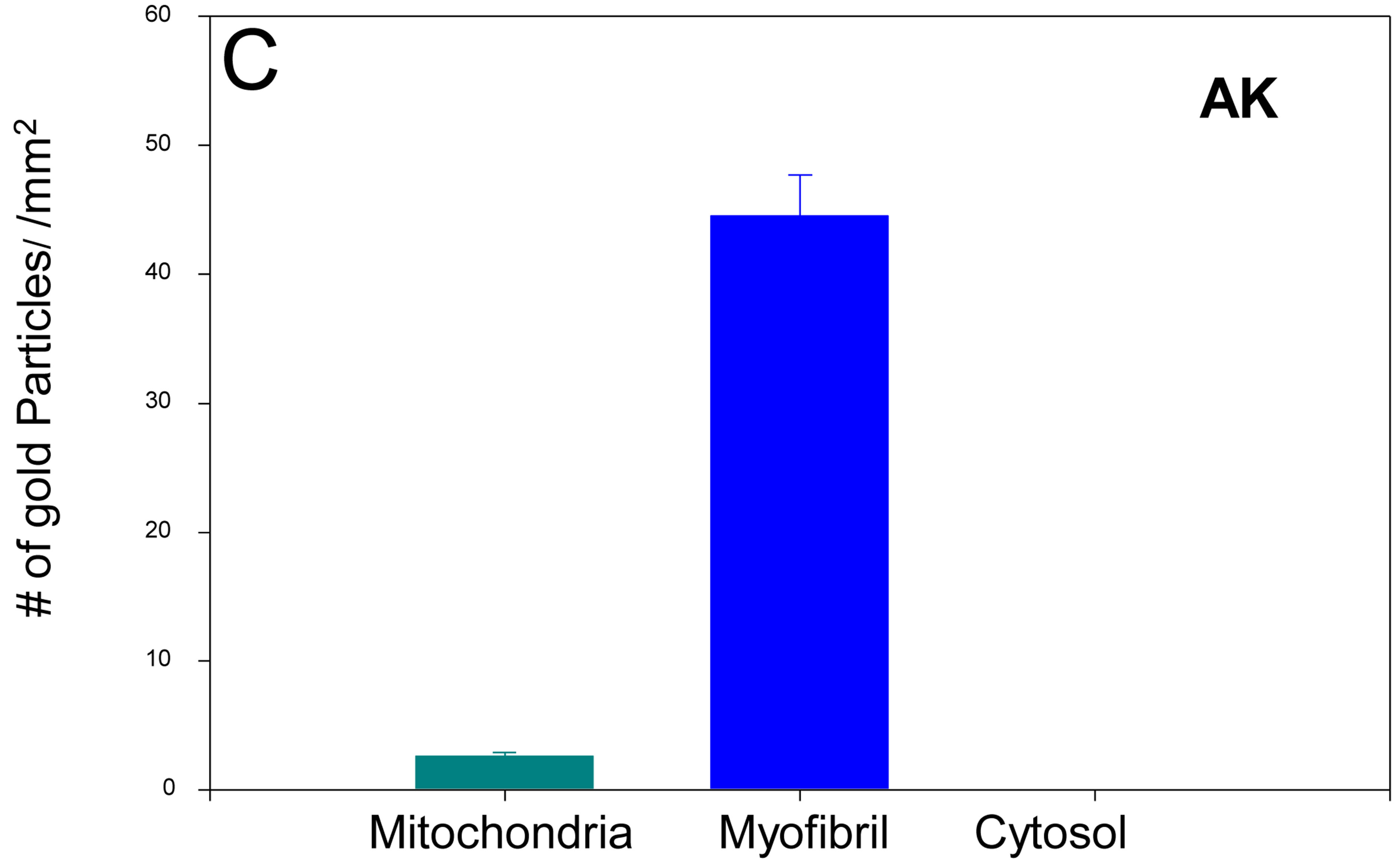 Characterization of the Intracellular Distribution of Adenine ...