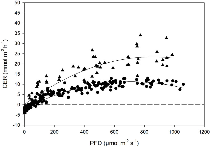 The Effect of Low Night and High Day Temperatures on Photosynthesis in ...
