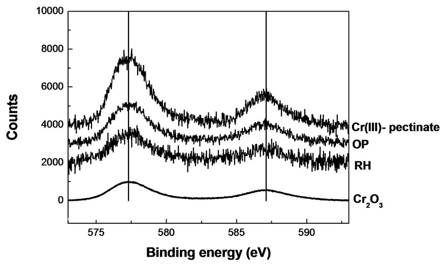 Thermodynamic and Dynamic of Chromium Biosorption by Pectic and ...